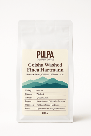 Buy Panama Geisha Coffee | Pulpa Specialty Coffee