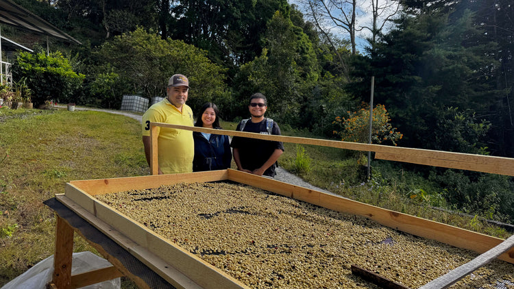 Panama Specialty Coffee | Panama Geisha - Pulpa Coffee – Pulpa ...